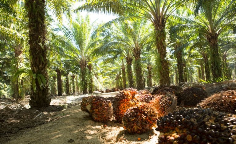 Dinant - Lo mejor para tí.